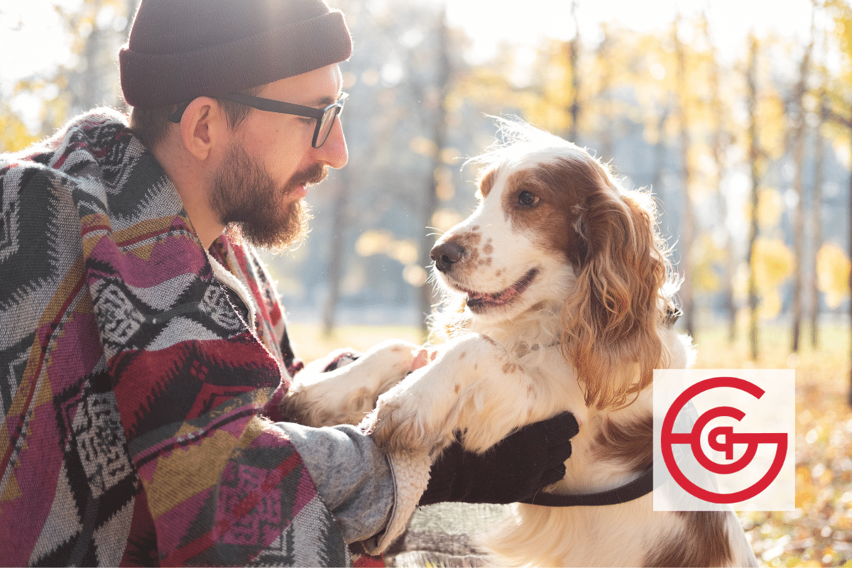 How to Make the Most of Outdoor Adventures With Your Dog – Gou Gou Pets